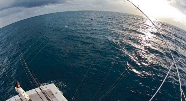Super Spread | OffShore | floridasportfishing.com