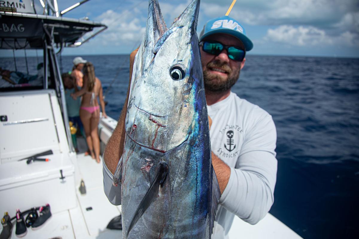 wahoo regulations