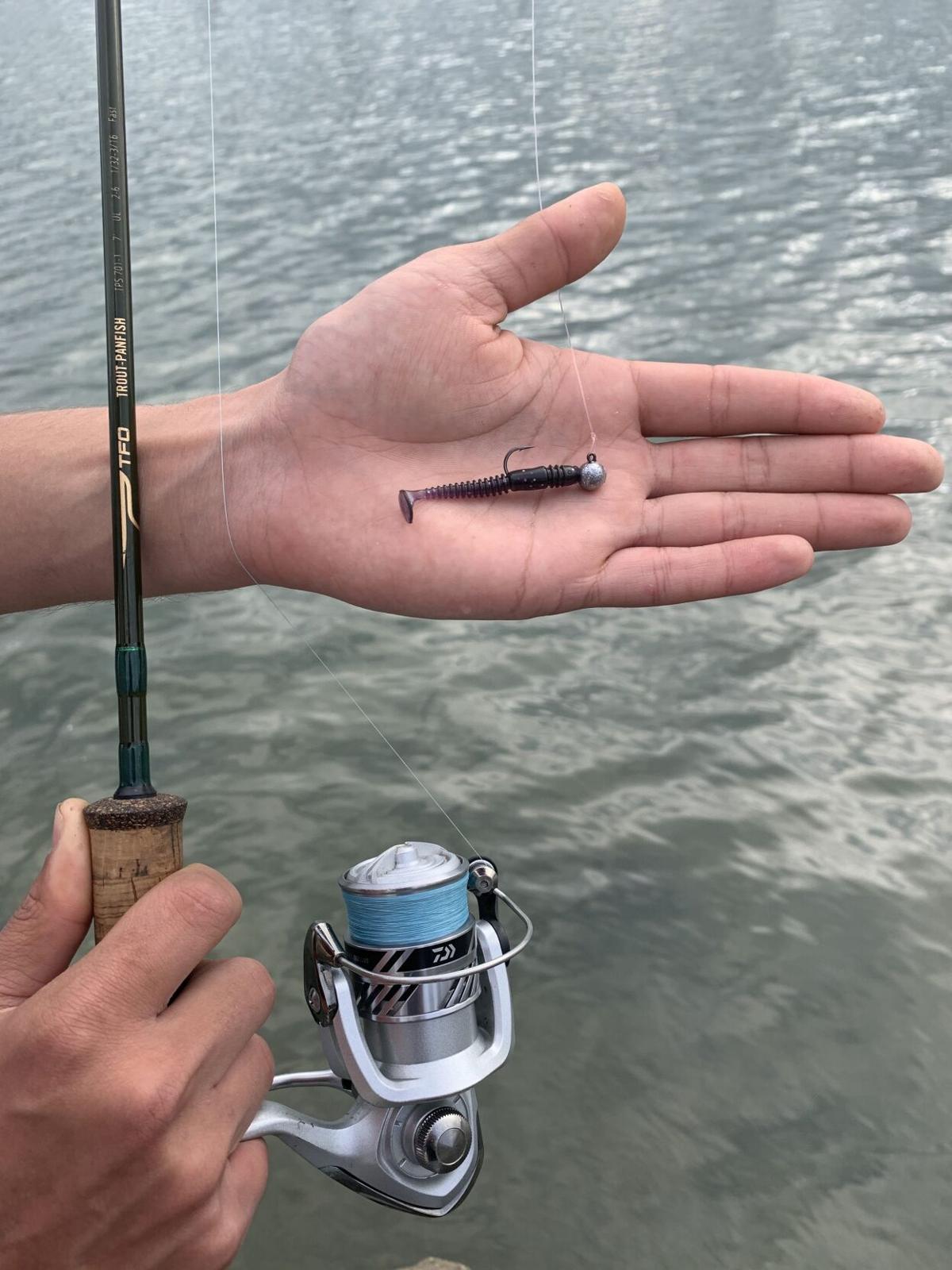 trotting float setup