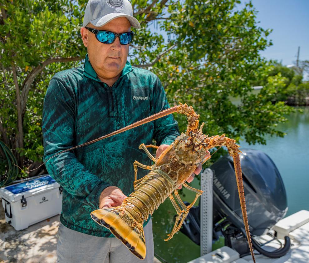 An In-Depth Guide to Lobster Fishing in South Florida | OffShore ...