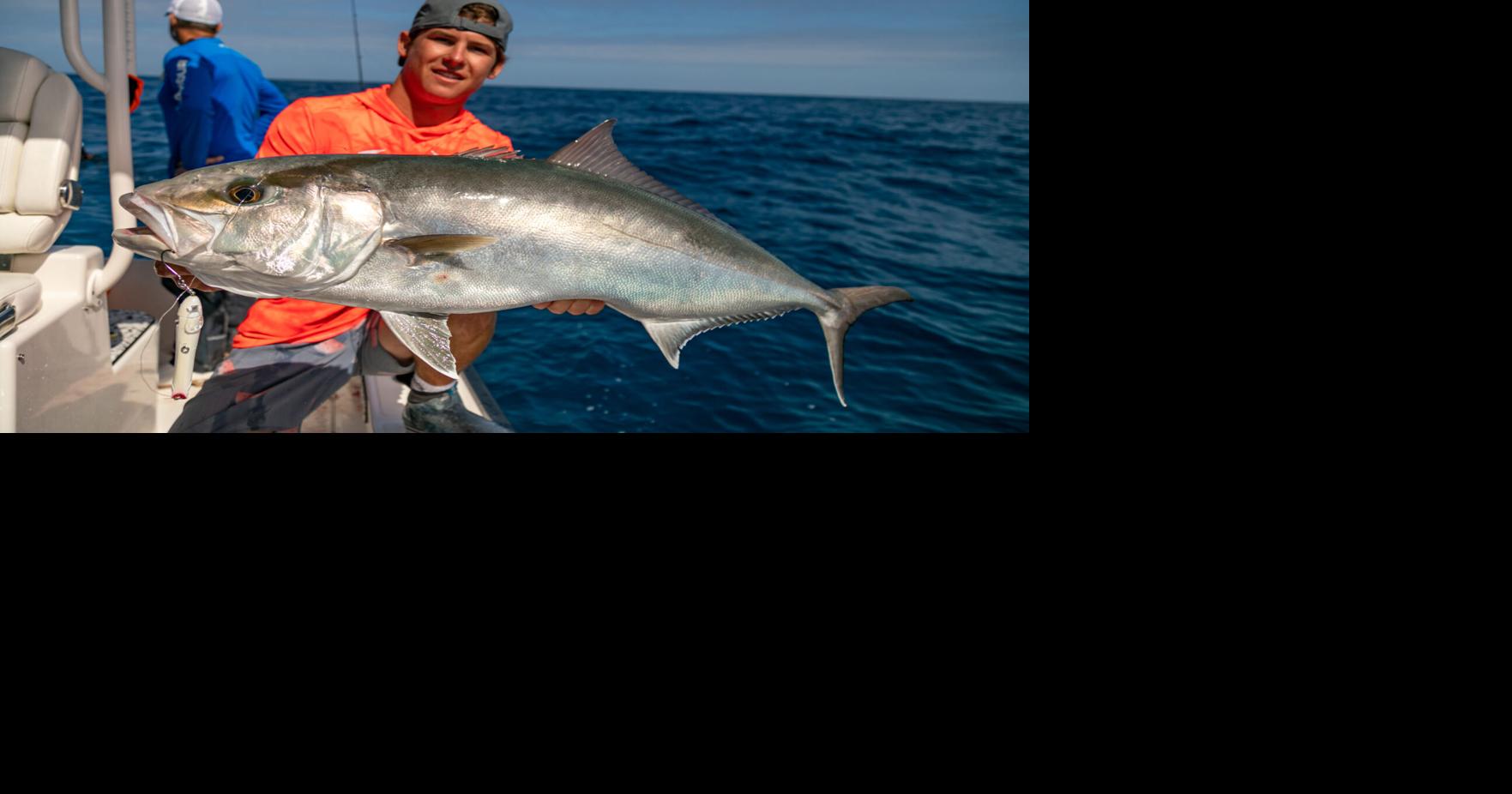 Tips for Targeting Floridas Infamous Reef Donkeys: Amberjack | OffShore ...