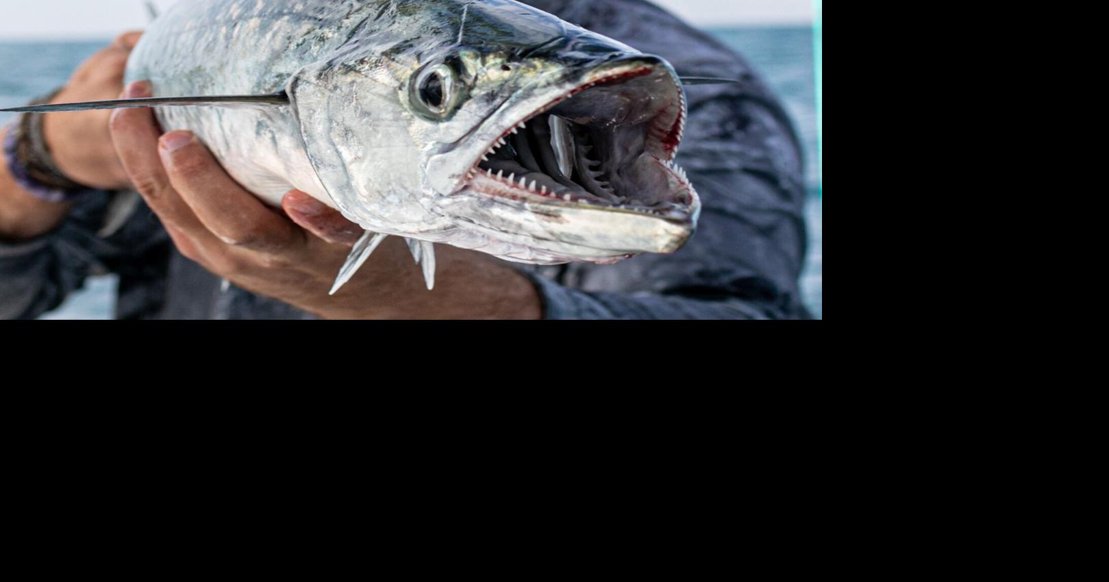 Smoked Kingfish Recipe | Recipes | floridasportfishing.com