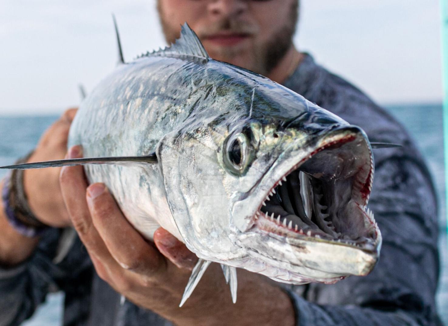 Smoked Kingfish Recipe | Recipes | floridasportfishing.com