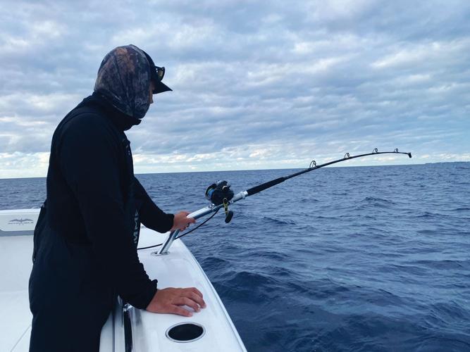 Species Spotlight: Queen Snapper | OffShore | floridasportfishing.com