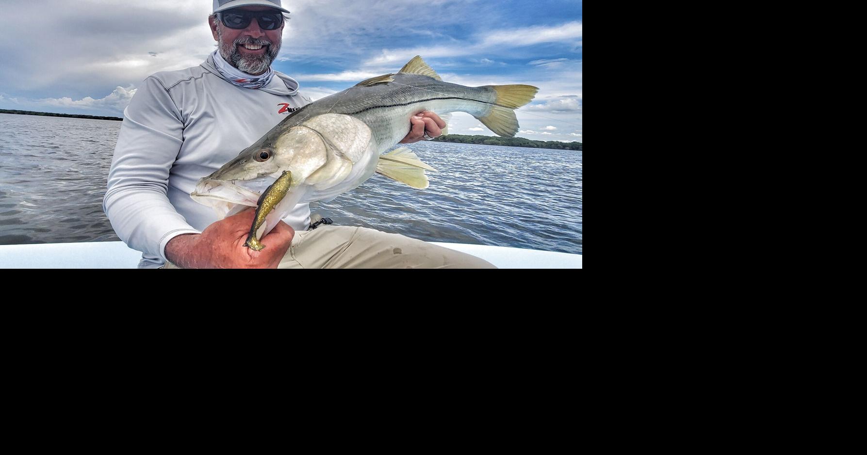 Best Summer Lure Colors for Redfish, Trout & Flounder | InShore ...