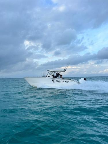 2025 Sedna 37 Catamaran Palm Beach and The Wharf Boat Shows | Press ...