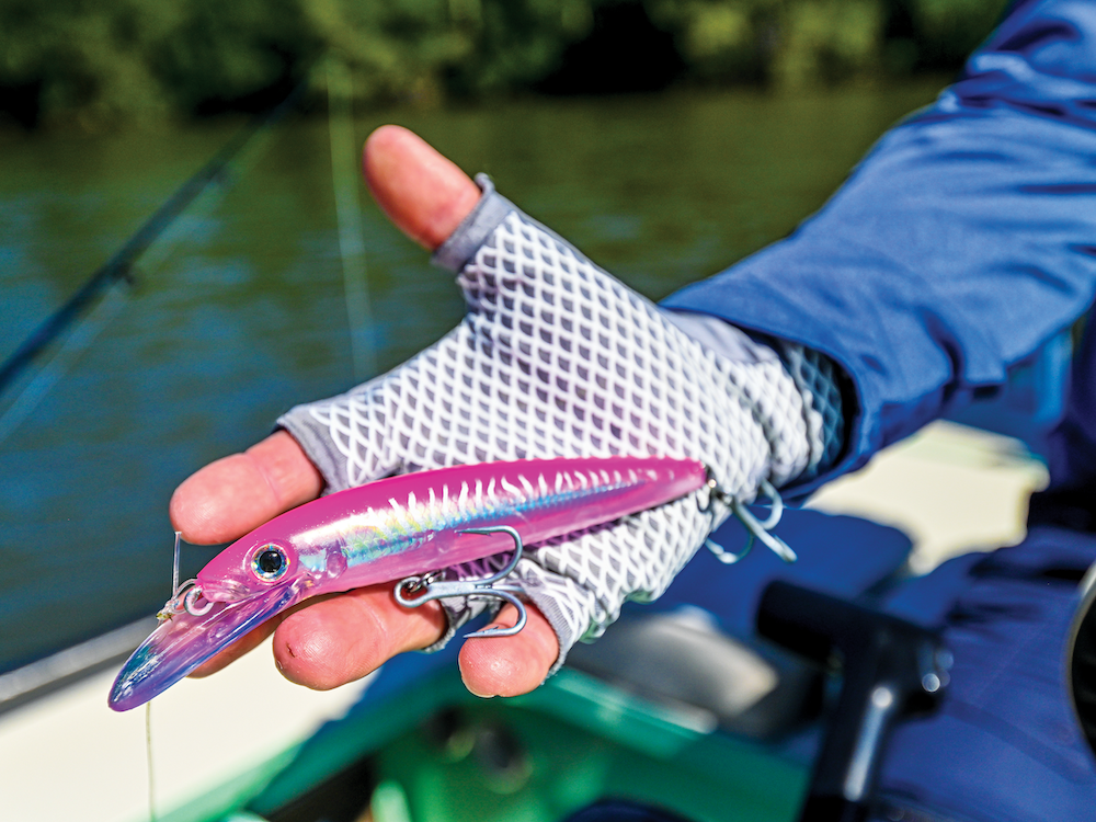 Juvenile Goliath Grouper Fishing: Hook, Lures, Setup | InShore ...