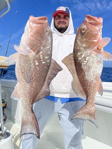 Red Grouper Tactics | InShore | floridasportfishing.com