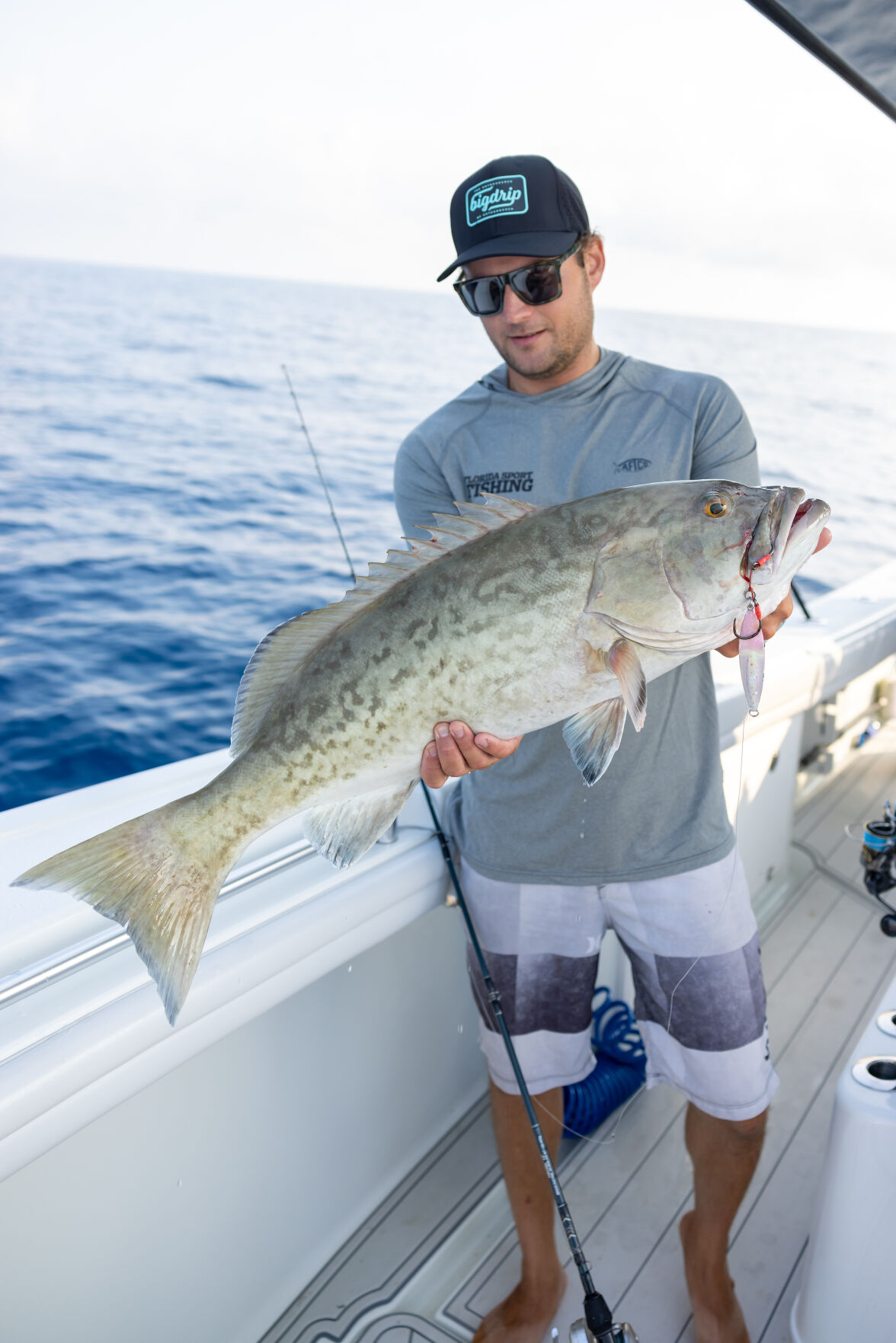 Species Spotlight: Gag Grouper | InShore | floridasportfishing.com