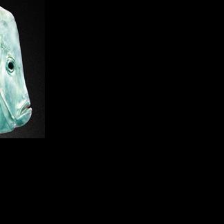 lookdown fish florida