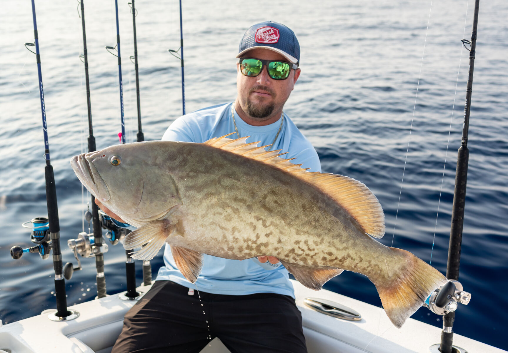 Species Spotlight: Gag Grouper | InShore | floridasportfishing.com