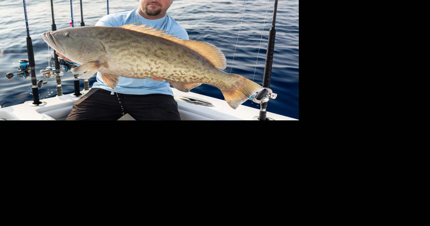 Species Spotlight: Gag Grouper | InShore | floridasportfishing.com
