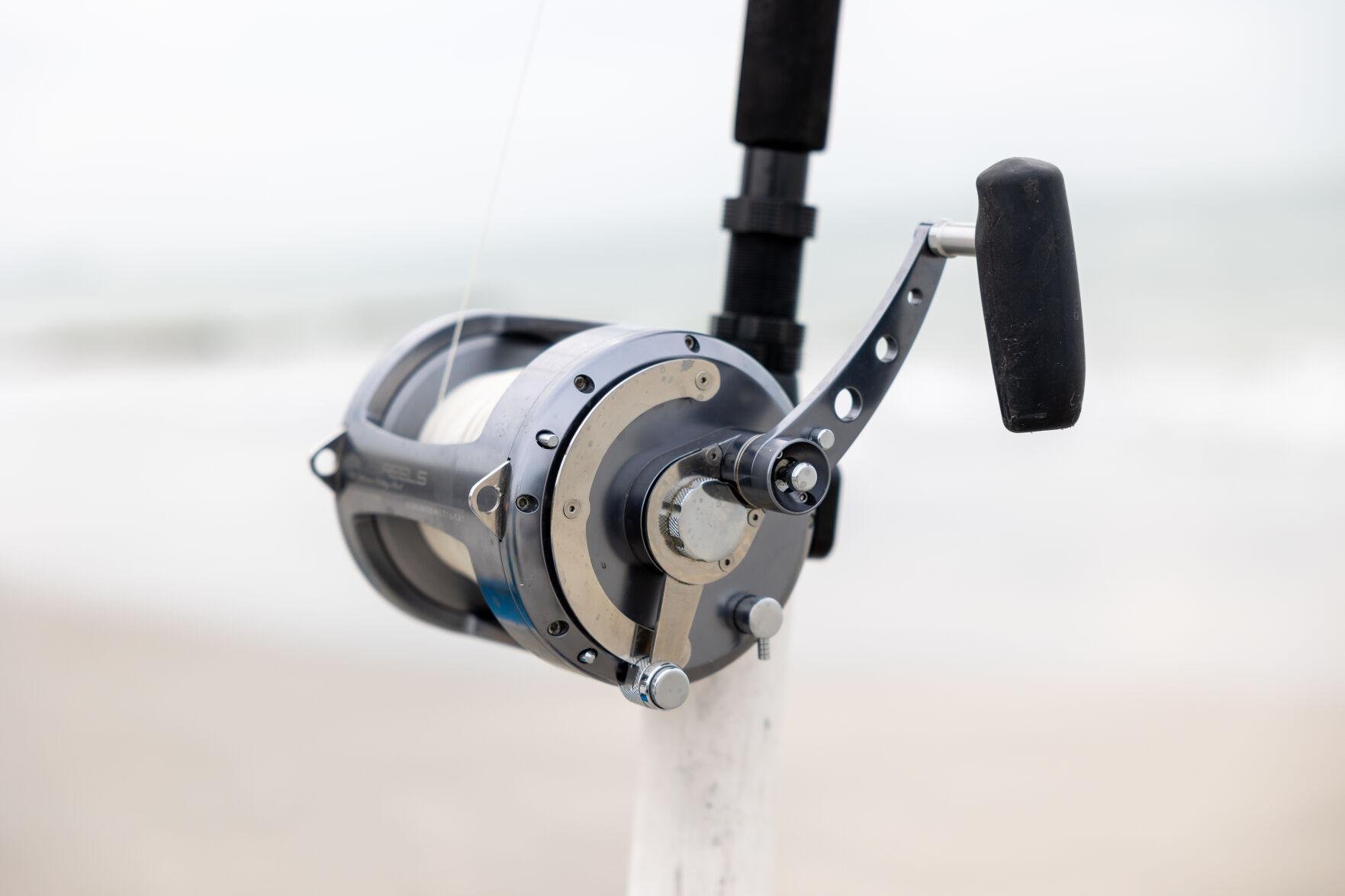 Shore-Based Shark Fishing in Florida: The Essential Tackle Guide ...