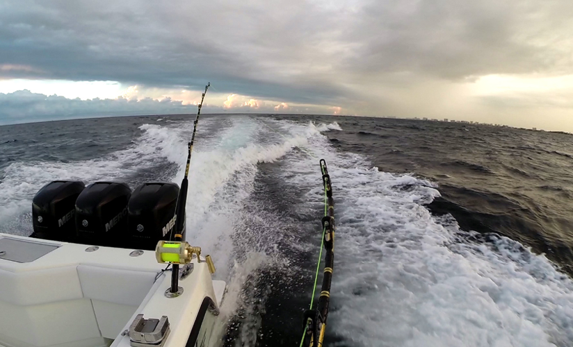 Fast Trolling | Multimedia | floridasportfishing.com