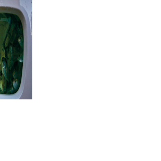 Statewide Tips For Hitting The Live Bait Jackpot! | InShore | floridasportfishing.com