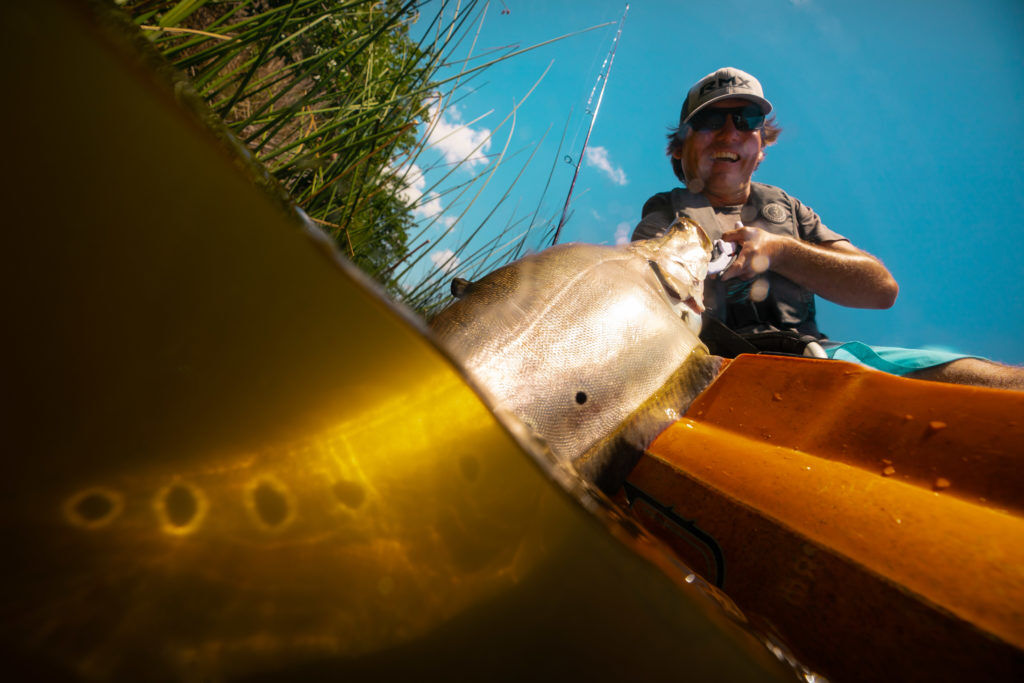 The Curious Case of South Florida’s Exotic Clown Knifefish | FreshWater ...