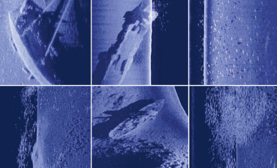 Basic Instincts | Boating | floridasportfishing.com