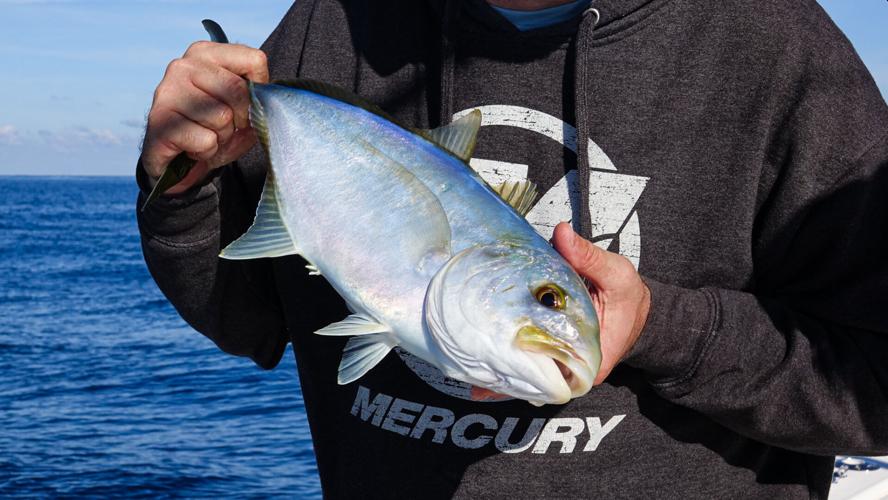 Yellow Jack Fishing: Florida’s Most Underrated Game Fish | OffShore ...