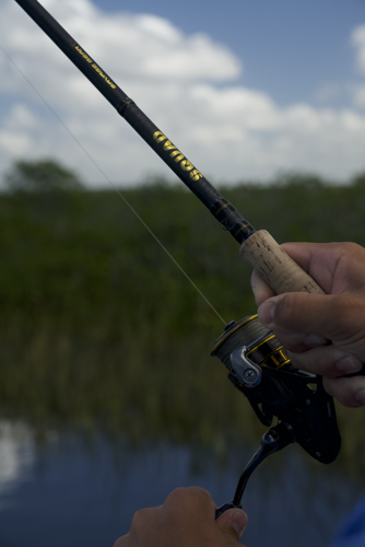 Building an Affordable and Versatile Inshore Combo | InShore ...