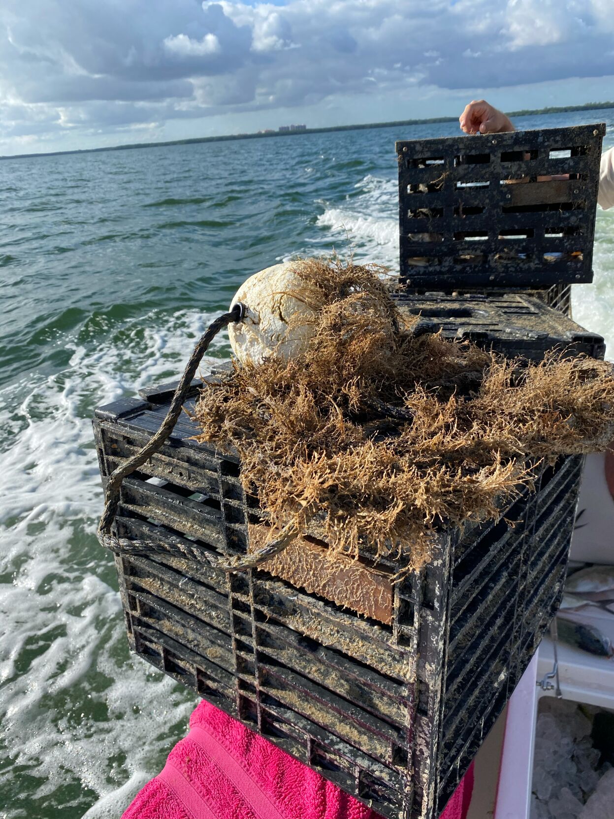 Methods for Harvesting Florida Stone Crabs | OffShore ...