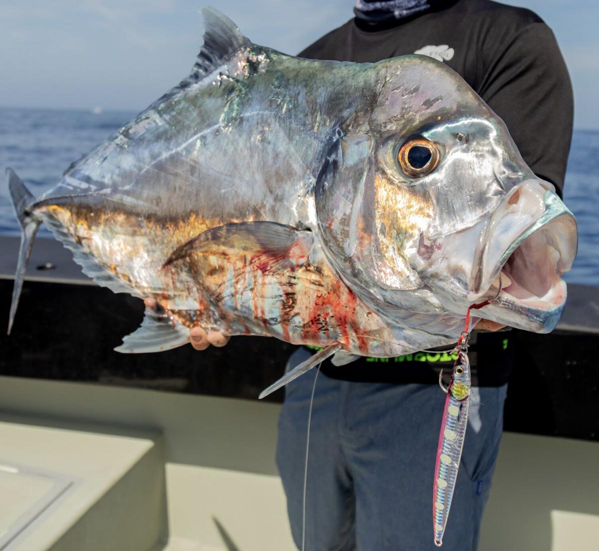 Species Spotlight: African Pompano | OffShore | floridasportfishing.com