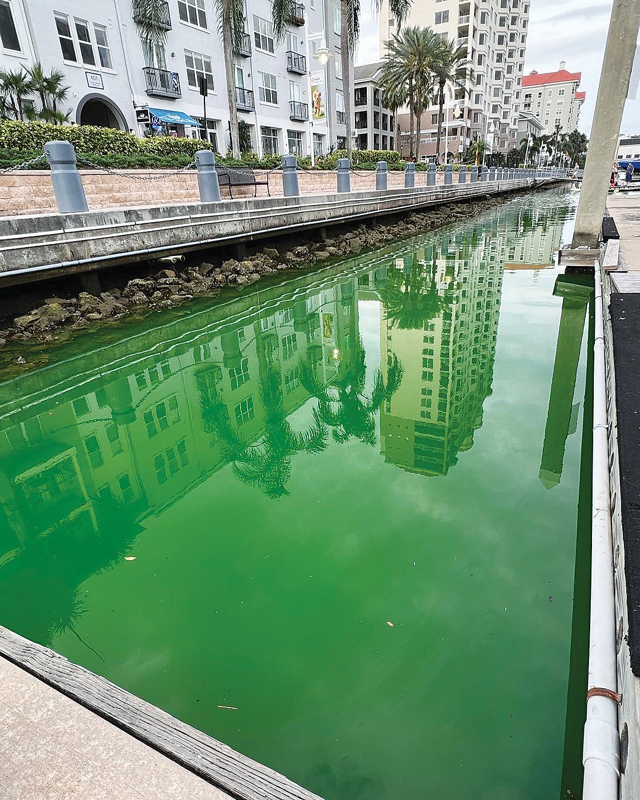 An In-Depth Analysis of Tampa Bay's Water Quality Issues | InShore ...