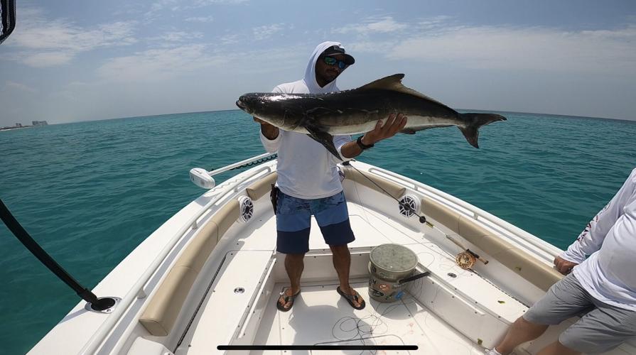 Could Pacific Ocean Buoys Predict the Cobia Migration? | OffShore ...