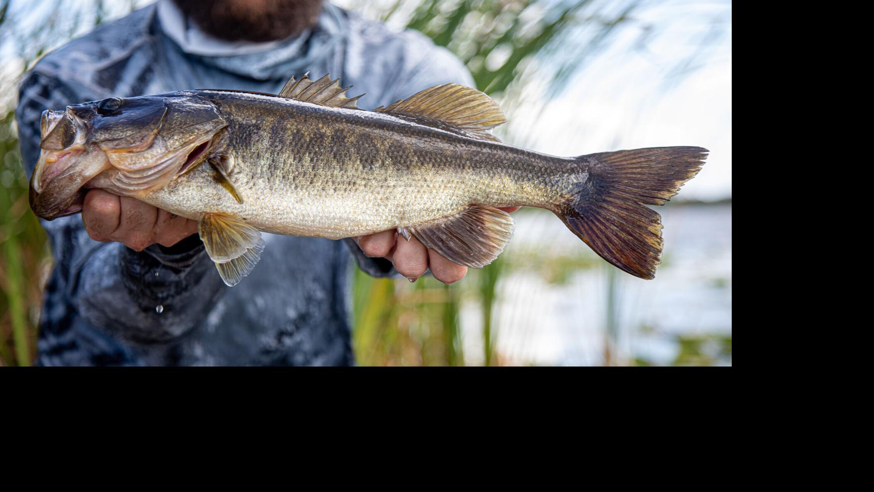 floridasportfishing.com | Florida Sport Fishing