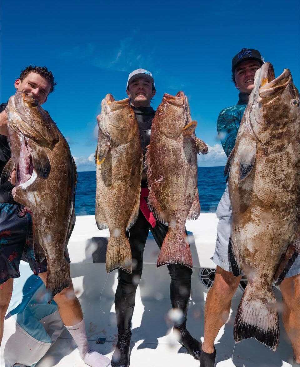 Goliath Grouper Speared in the Bahamas | FSF Diaries | OffShore ...