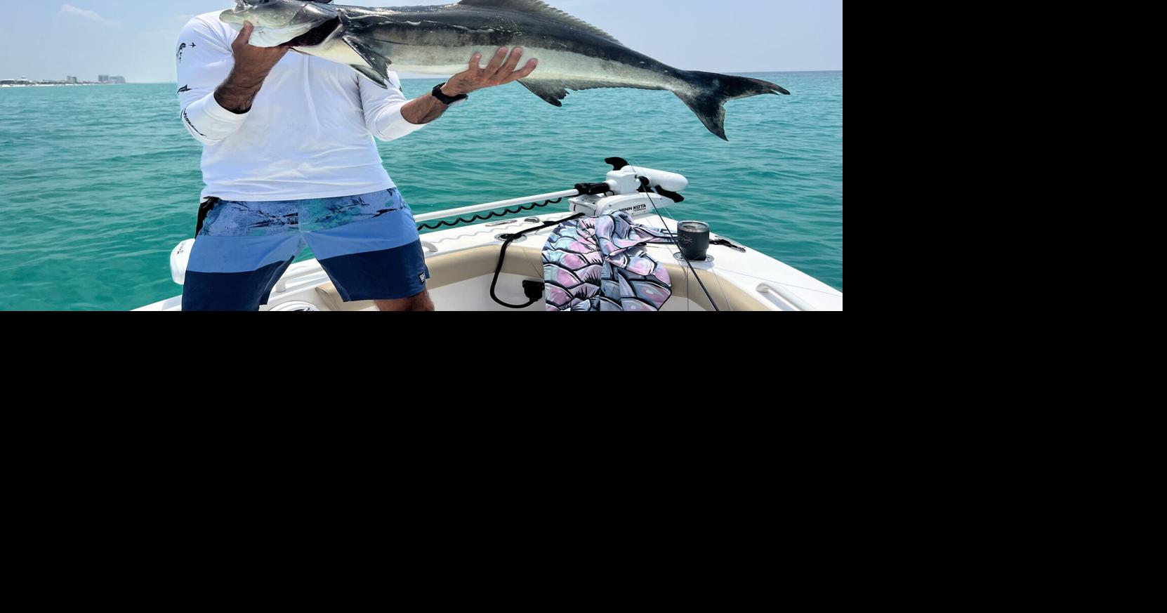 Could Pacific Ocean Buoys Predict the Cobia Migration? | OffShore ...