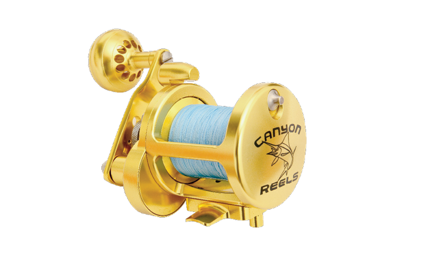 Dance The Jig | | floridasportfishing.com