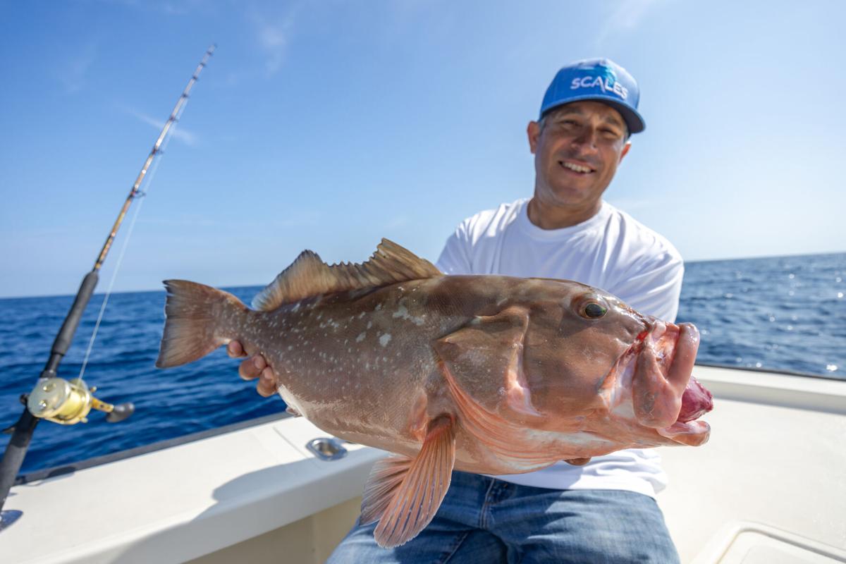 Red Grouper Tactics | InShore | floridasportfishing.com