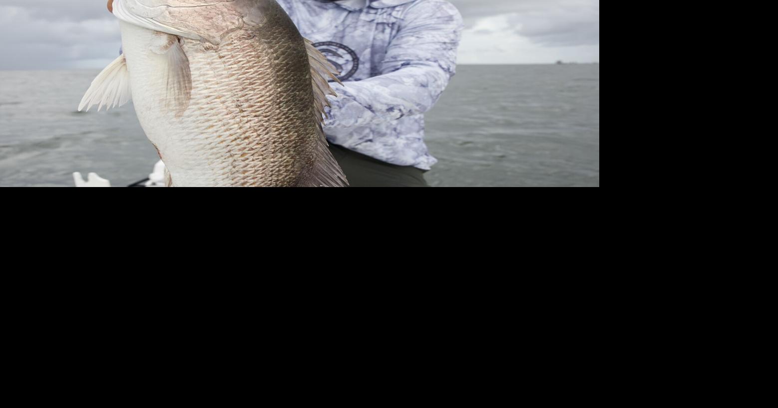 Sheepshead and Mangrove Snapper Fishing on the Nature Coast | OffShore ...