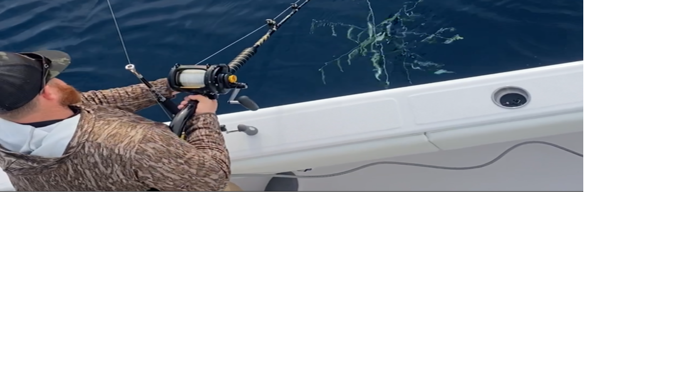 Marea Fishing Introduces Collapsible Motion Fishing Dredges | Press ...
