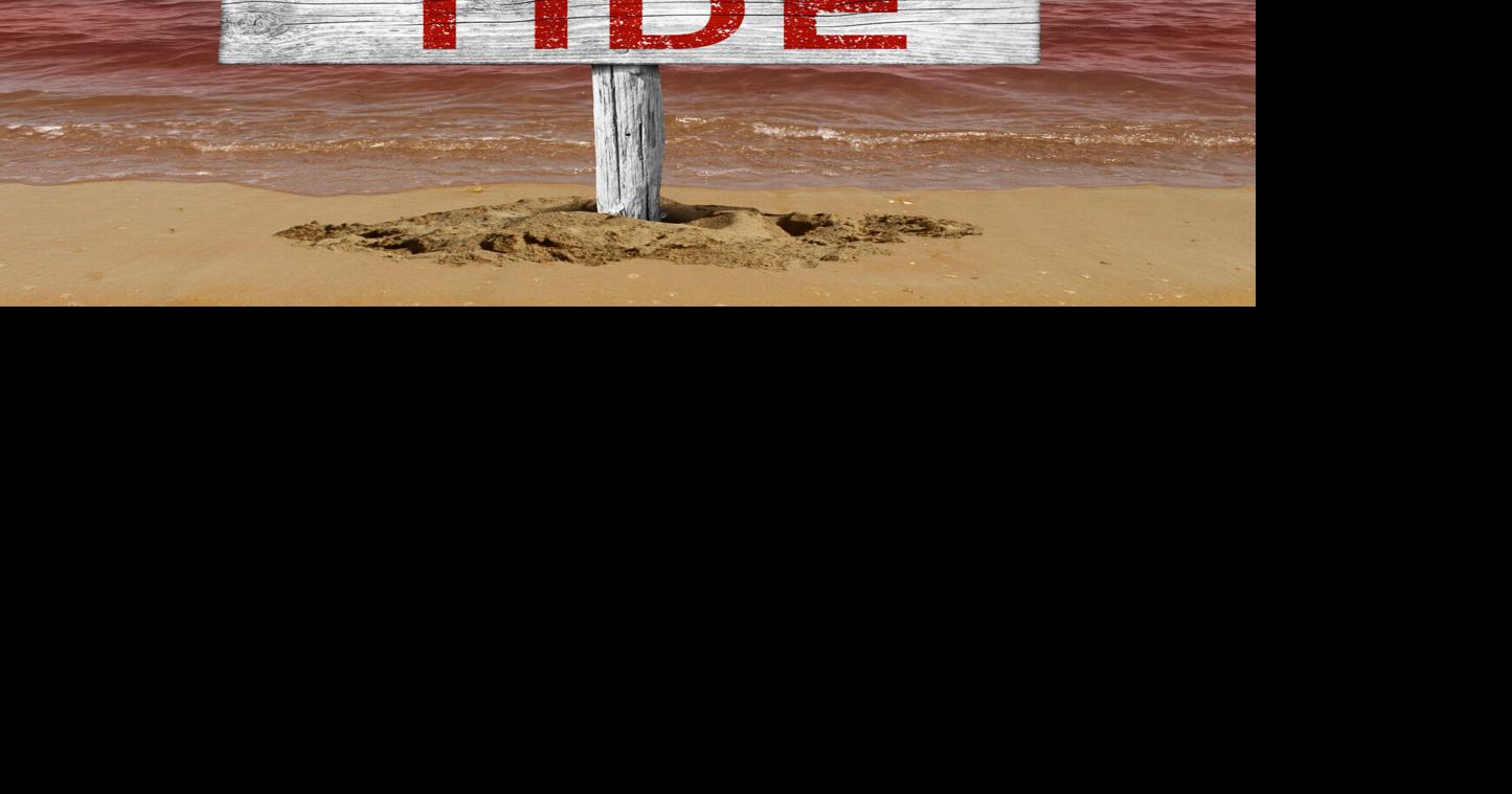 Red Tide Invades Florida — But What Is It? | Boating ...