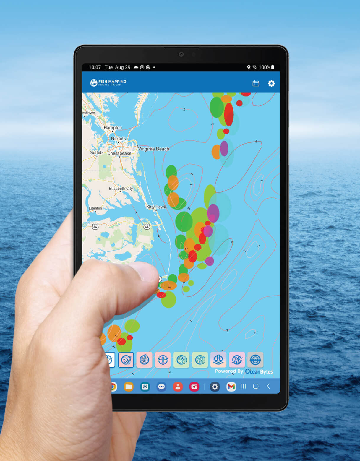 Announcing the new SXM Marine Fish Mapping App | Press Releases ...
