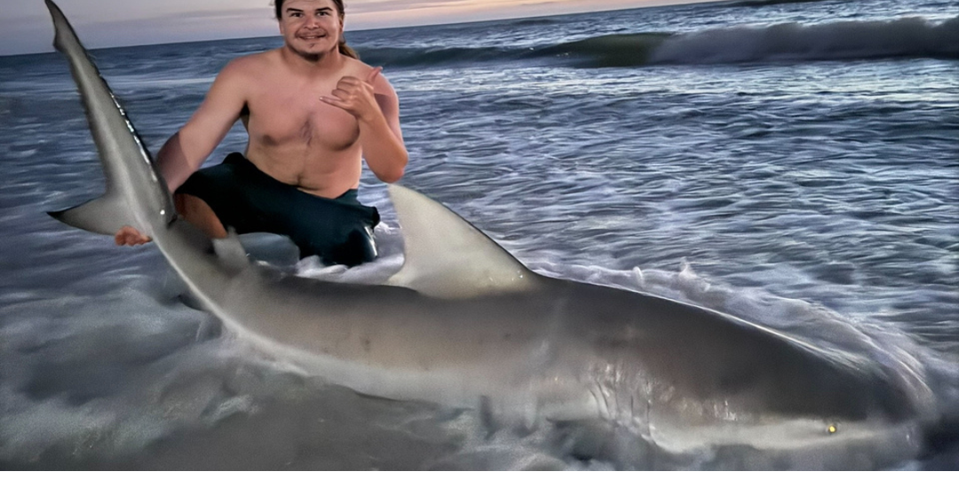 Shore-Based Shark Fishing in Florida: The Essential Tackle Guide ...