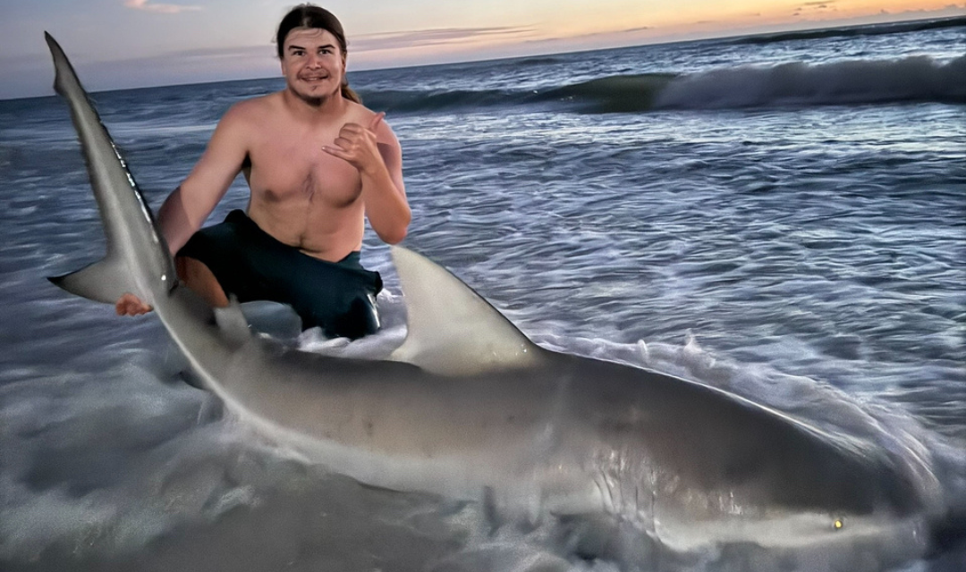 Shore-Based Shark Fishing in Florida: The Essential Tackle Guide ...