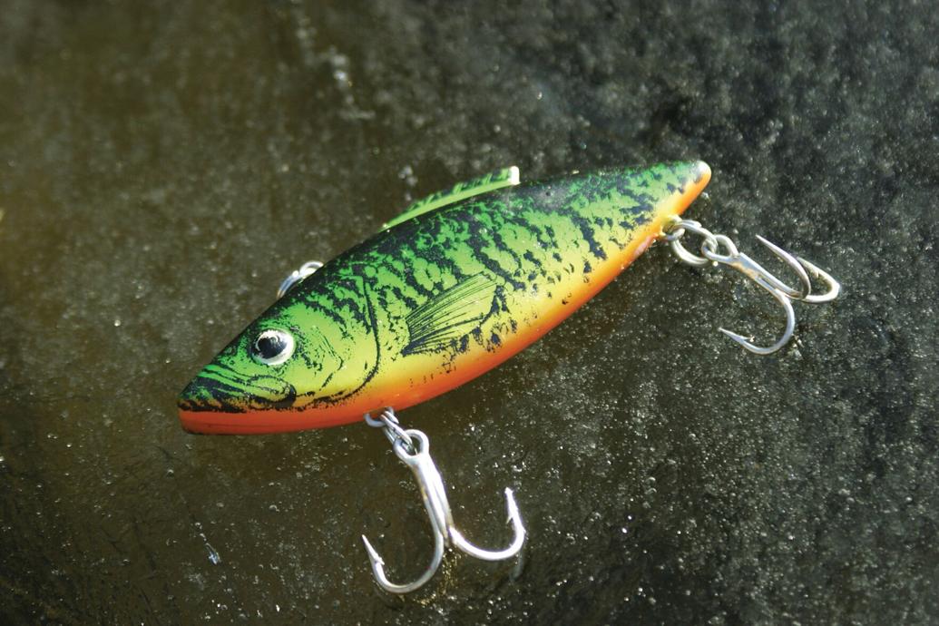 5 Florida Bass Baits You Need in Your Arsenal | FreshWater ...