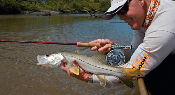 Beware | InShore | floridasportfishing.com