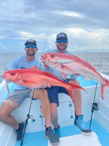 Species Spotlight: Queen Snapper | OffShore | floridasportfishing.com