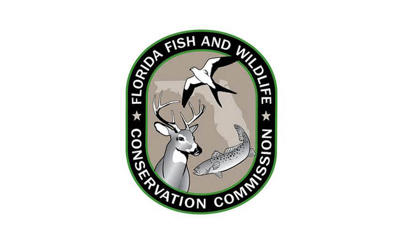 Gulf Snook to Close in Gulf State, Federal Waters | Press Releases ...