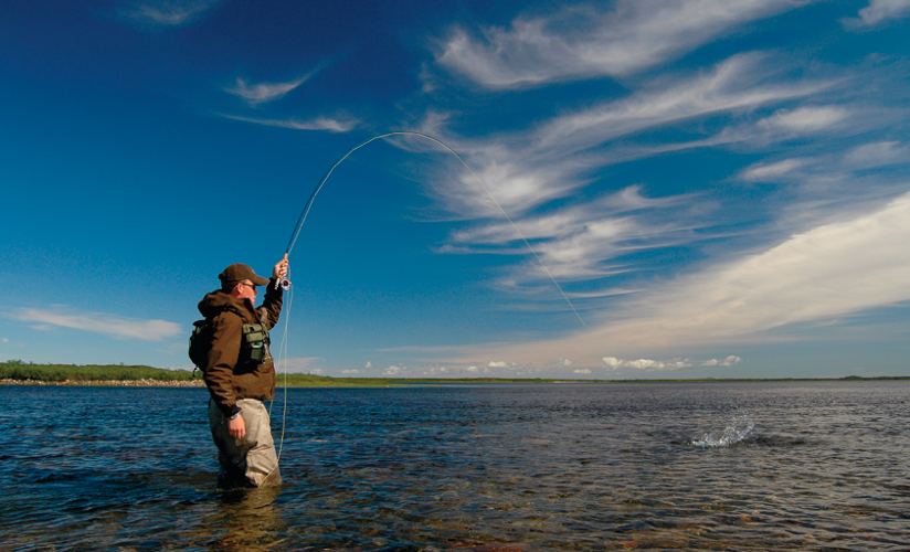 Arctic Array | FreshWater | floridasportfishing.com
