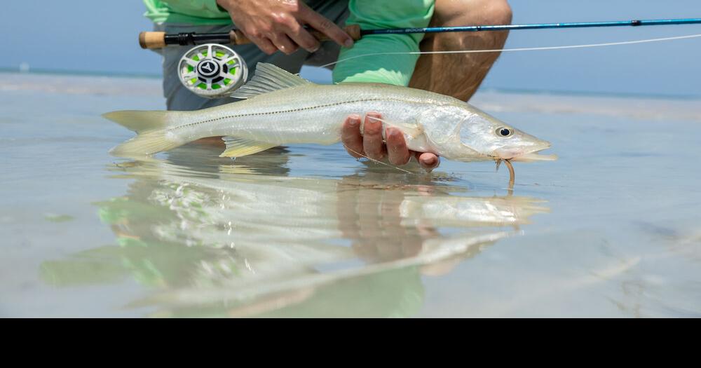 Summer Time Beach Snook Fly Fishing | InShore | floridasportfishing.com
