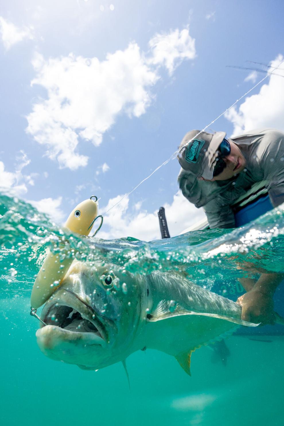 The Most Underrated Fish in Florida: The Jack Crevalle | InShore ...