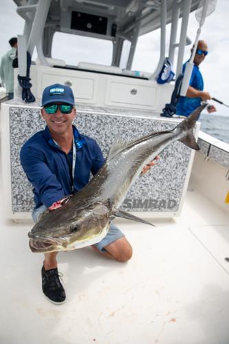 Cobia Cowboys: Targeting Jacksonville’s Wild Spring Cobia | InShore ...