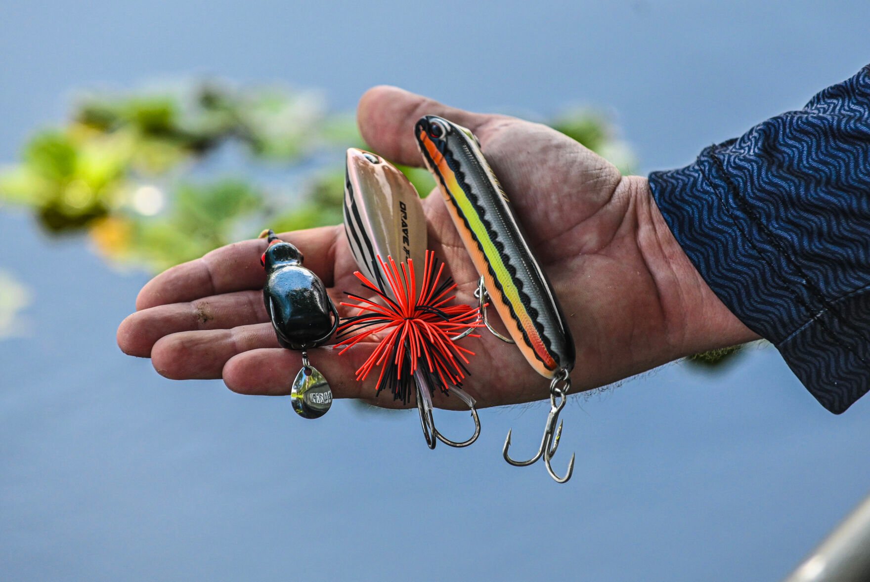 What You Should Look for When Chasing Snakeheads in Florida ...