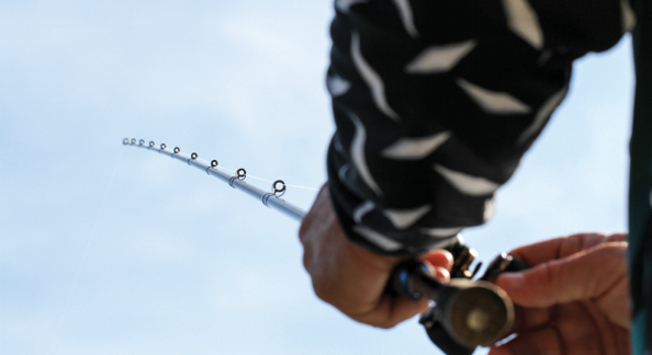 Under the Microscope | FreshWater | floridasportfishing.com