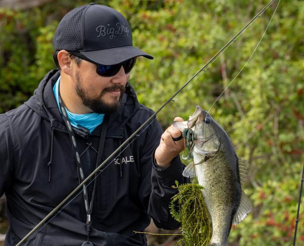 Finding and Catching Bass During Cold Snaps | InShore ...