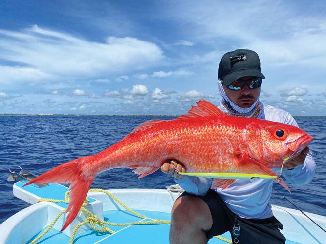 Species Spotlight: Queen Snapper | OffShore | floridasportfishing.com